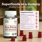 healthy sea moss gummies for energy