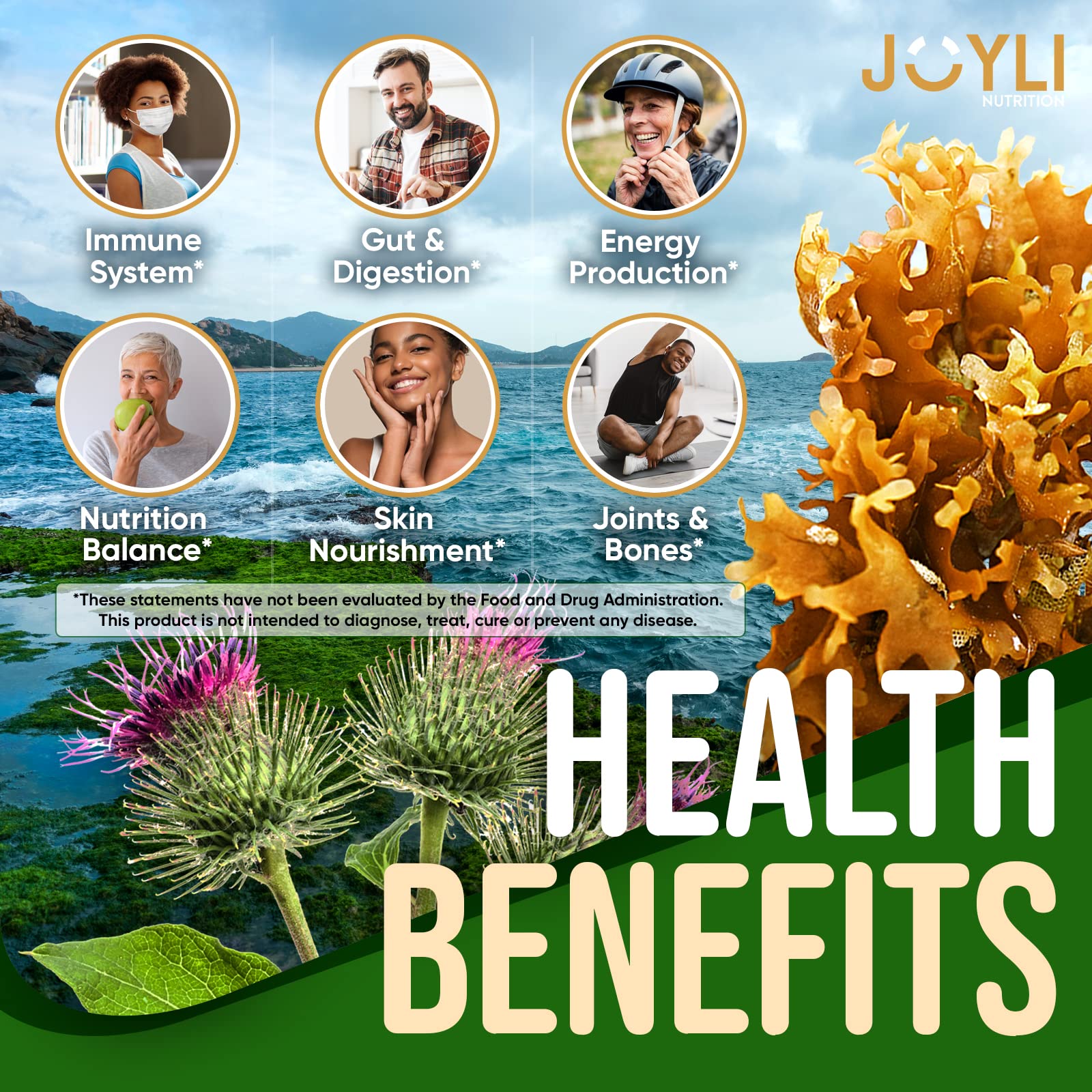 healthy sea moss gummy vitamins