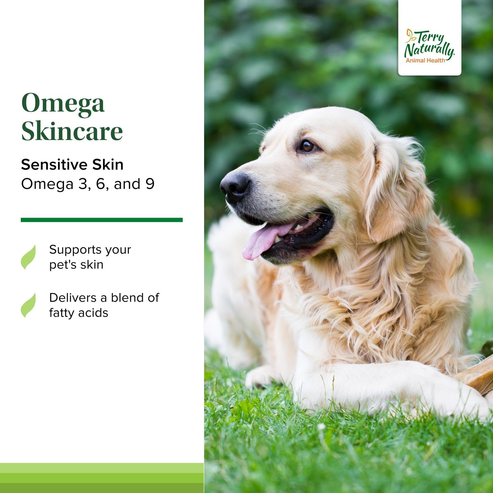 Healthy skin support for dogs