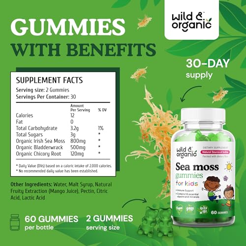 Healthy snack alternative for kids