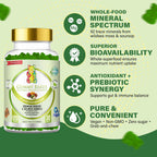 Healthy snack alternative gummies
