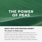 healthy snack alternative protein shake