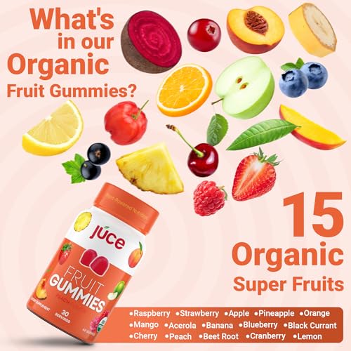 healthy snack Juce Fruit Gummies