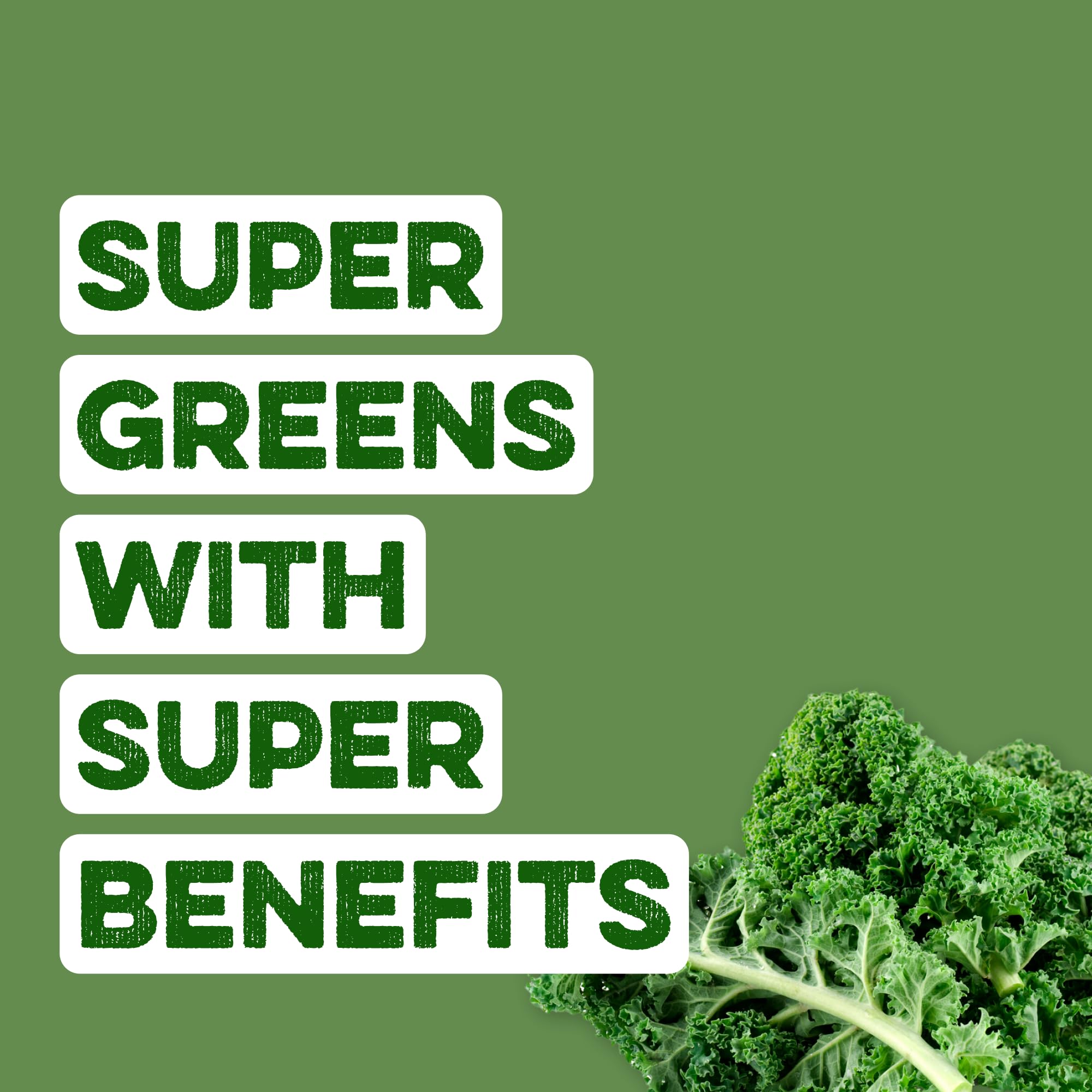 healthy spirulina protein source