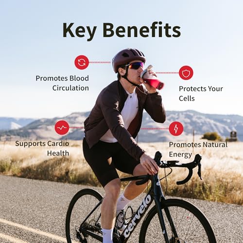 healthy superfood beet root