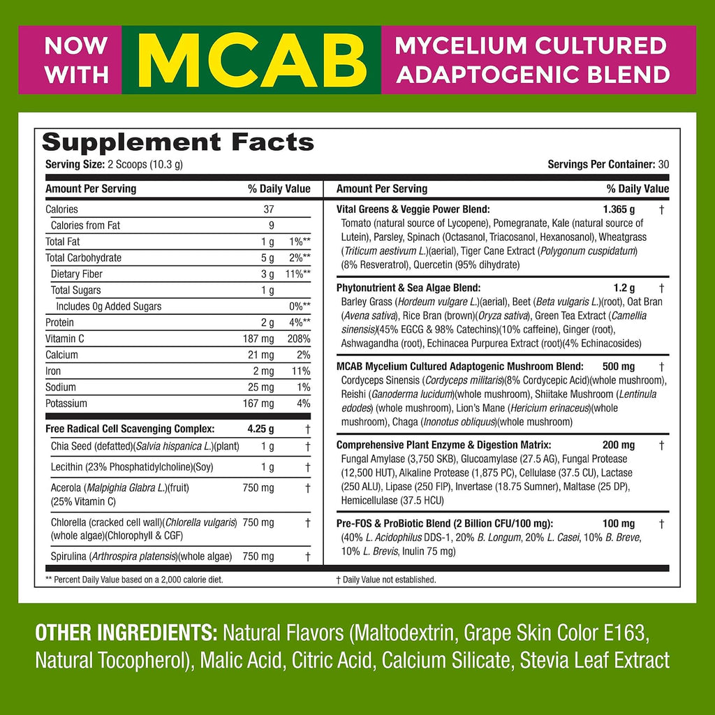 healthy superfood blend for energy