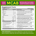 healthy superfood blend for energy