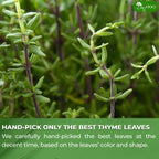healthy thyme tea for digestion