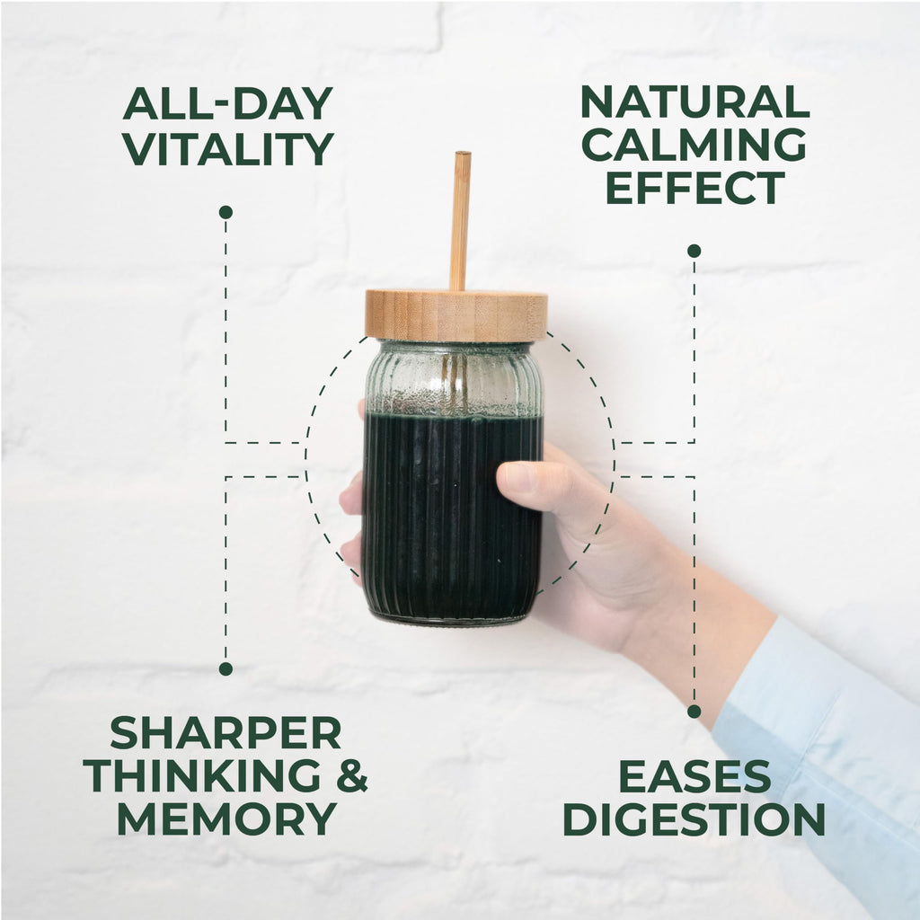 healthy travel packs with spirulina