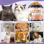 Healthy treats for cats with colostrum
