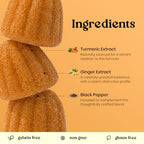 healthy turmeric curcumin gummy vitamins
