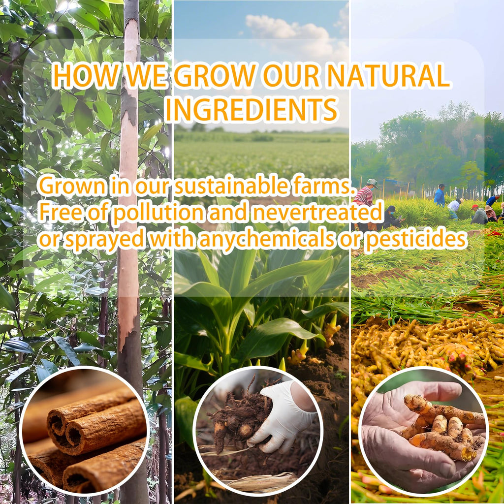 Healthy turmeric ginger tea for wellness