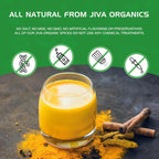 healthy turmeric latte for wellness