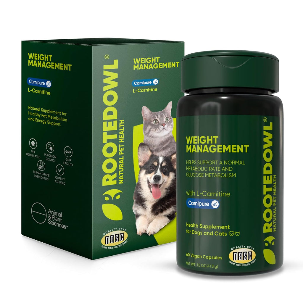 healthy weight energy metabolism supplement