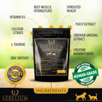 Healthy weight gain for dogs
