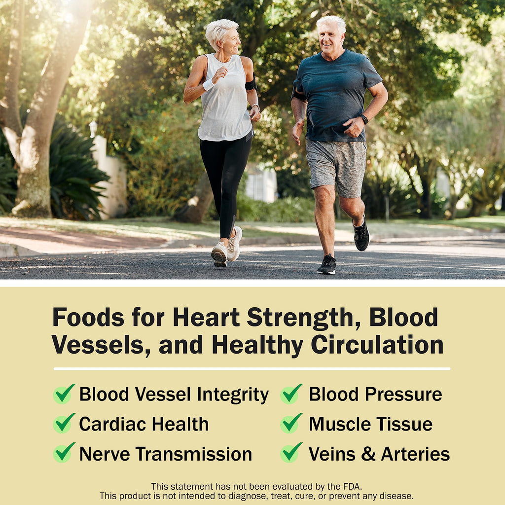 heart and circulatory system support