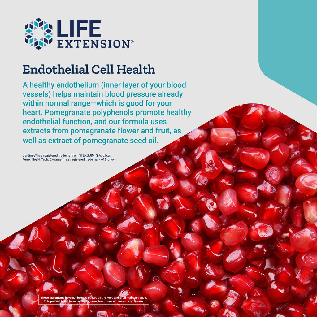 heart and endothelial support supplement