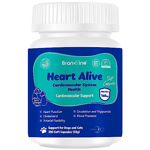 heart health supplements for dogs and cats