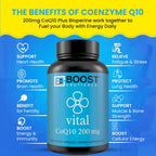 heart health support coq10 supplement