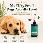 heart health support for pets