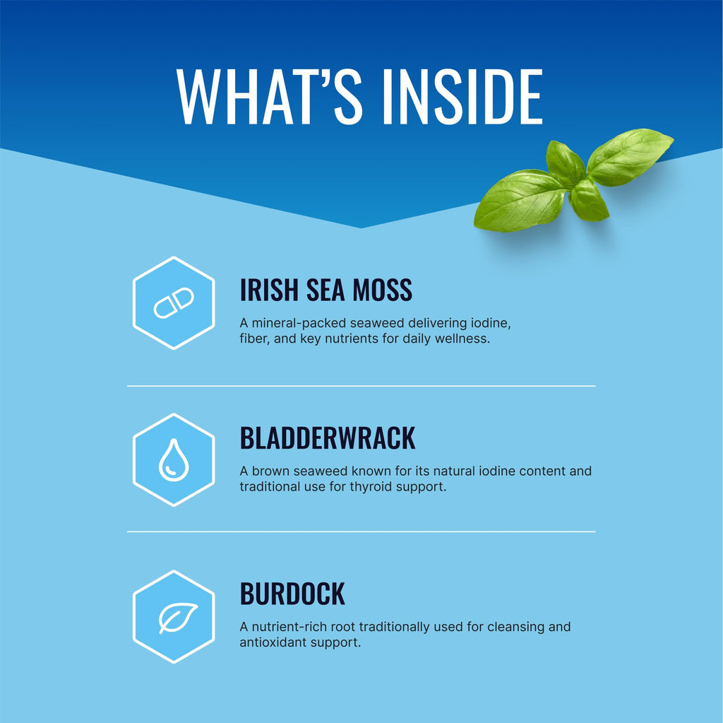 heart health support with bladderwrack