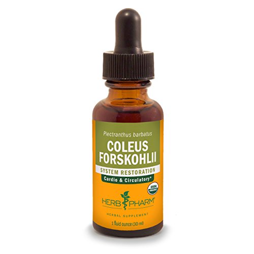 Heart health support with Coleus Forskohlii