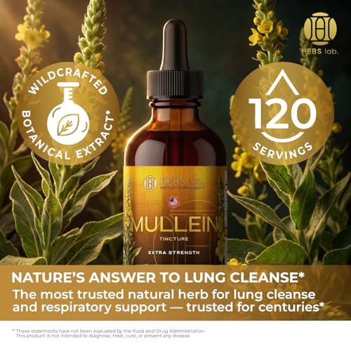 HEBS LAB mullein tincture 4 fl oz