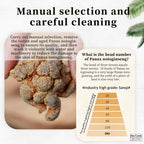 Hee Creek ginseng for energy boost