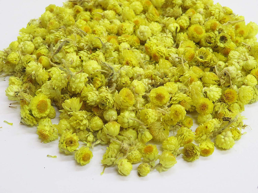 Helichrysum flowers for soothing brews