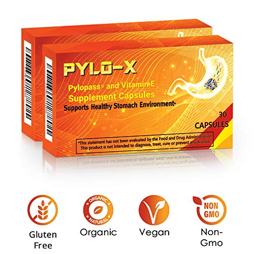 Helicobacter Pylori support supplements