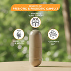 HELLO HEALTH probiotics for overall wellness