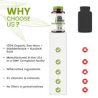 HELLO HEALTH sea moss supplement