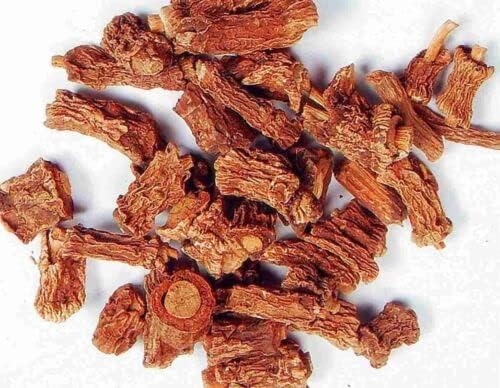 Hemidesmus Indicus for holistic health