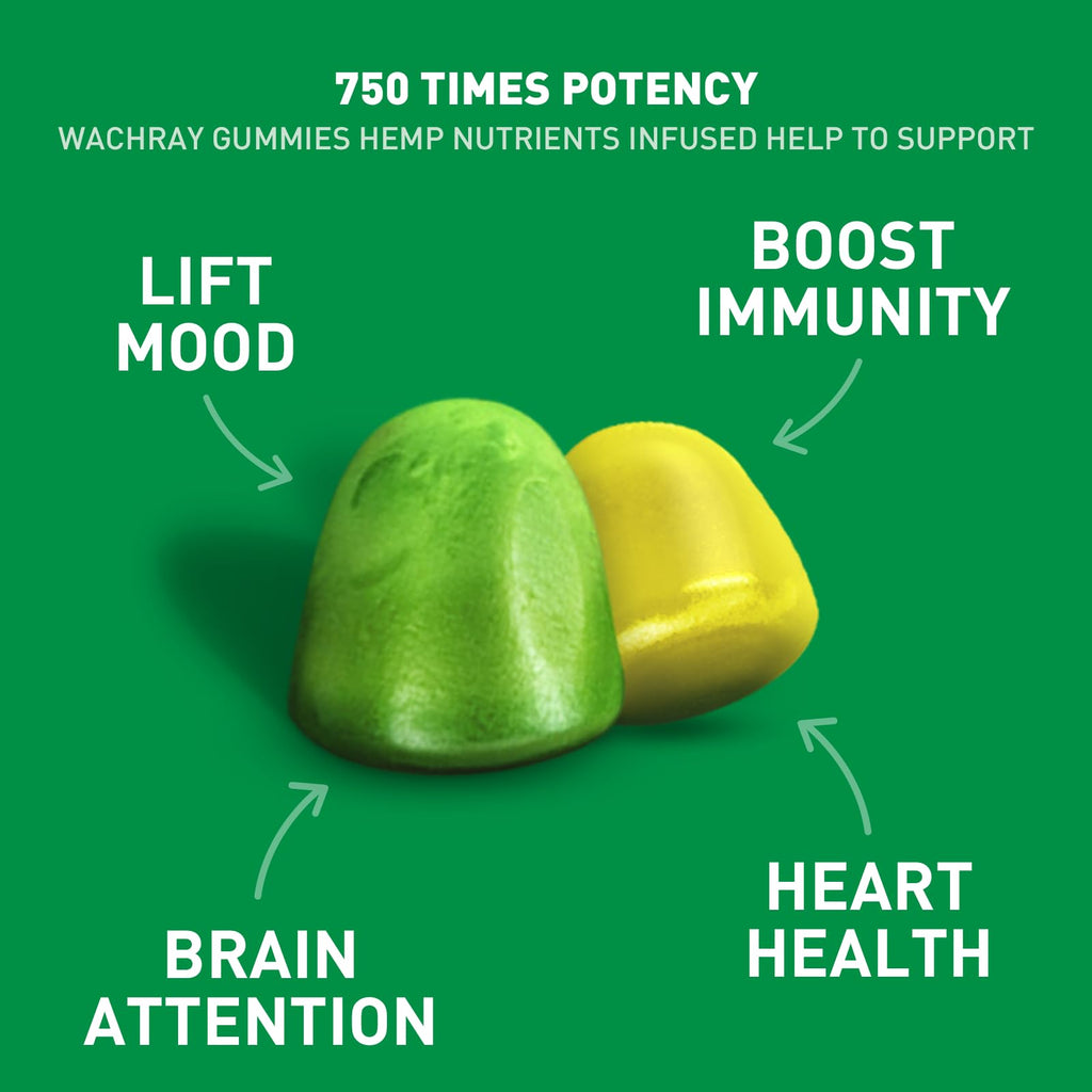 hemp gummies for daily nutrition