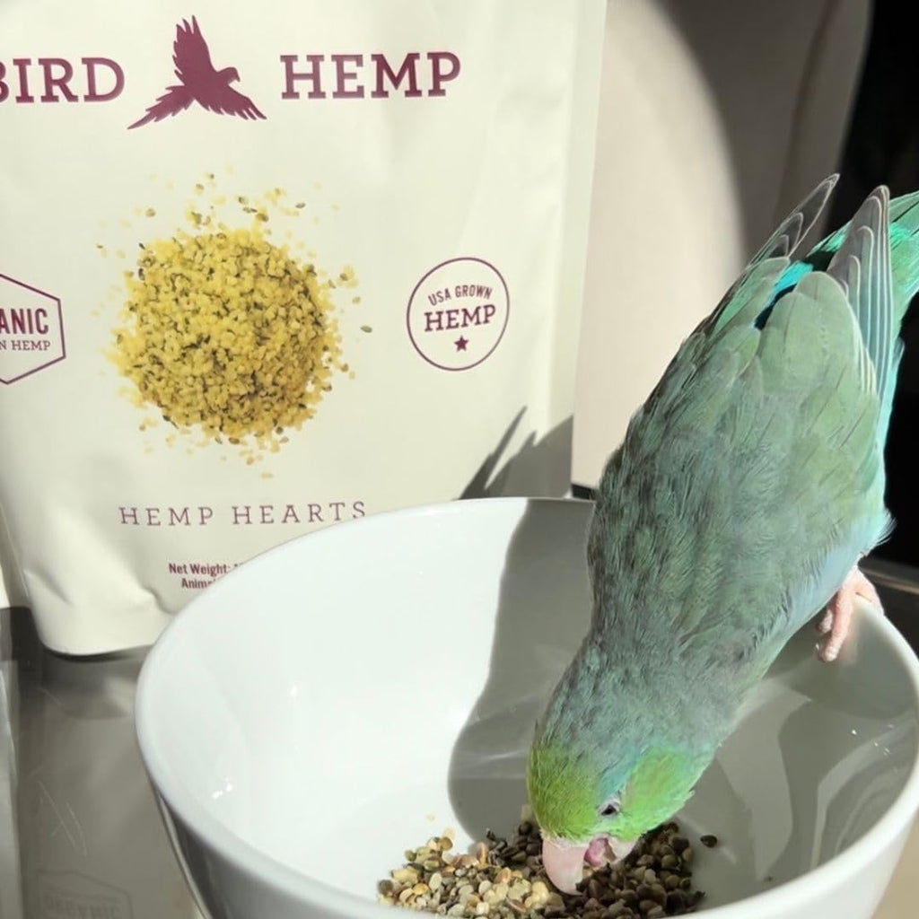 hemp hearts for healthy snacking