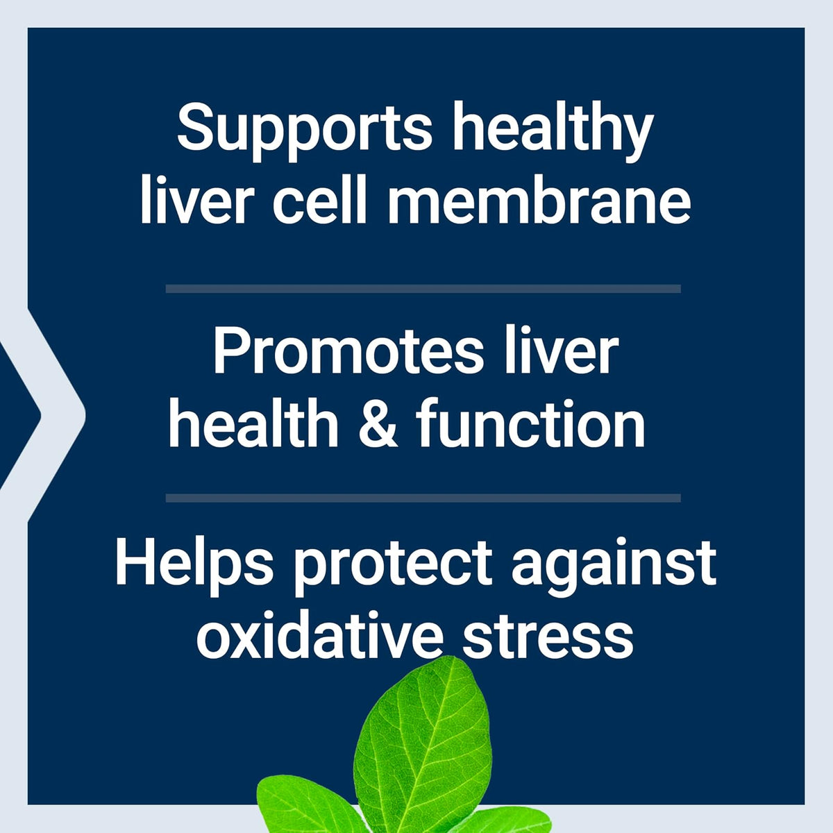 HepatoPro for detoxification support