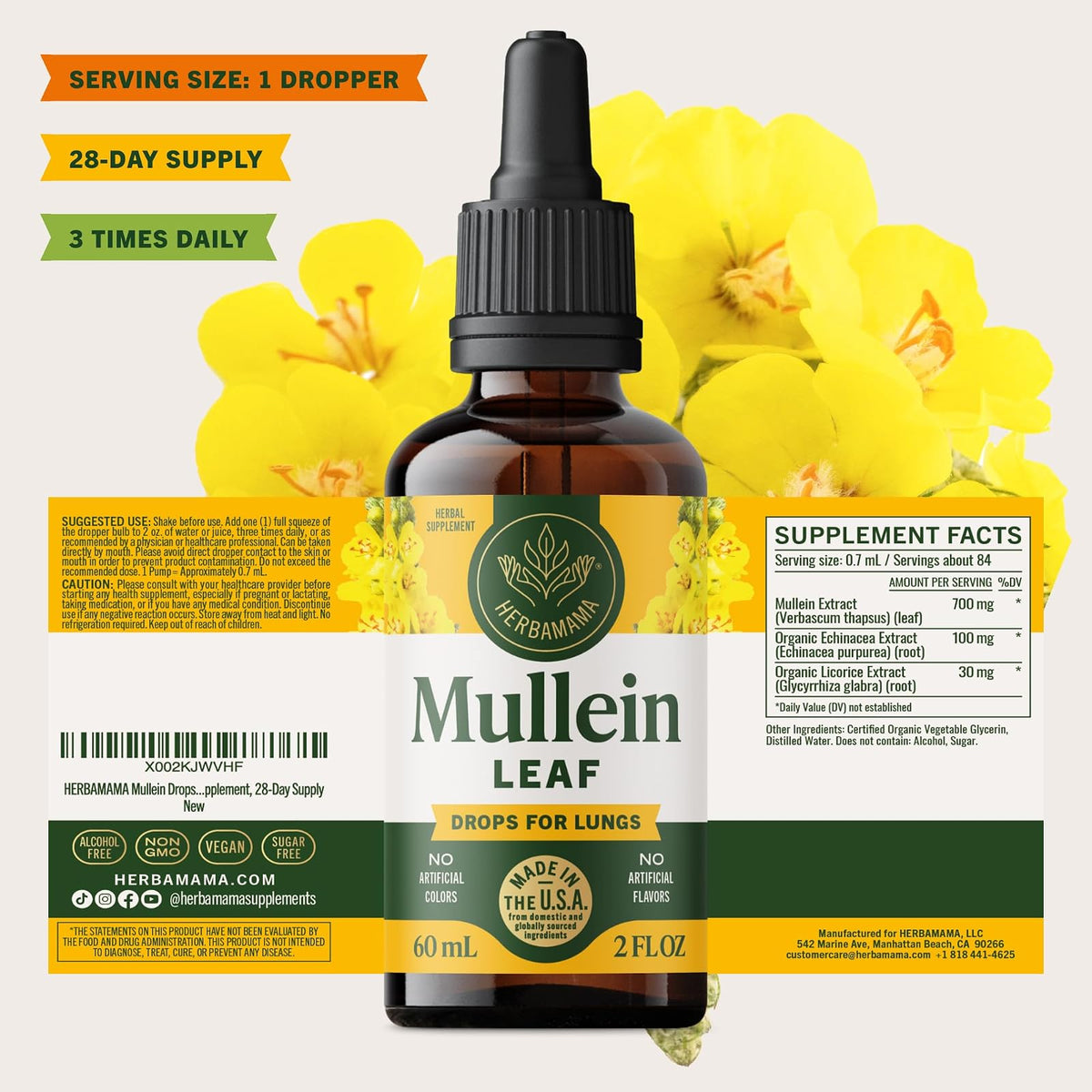Herb-based lung support with Mullein