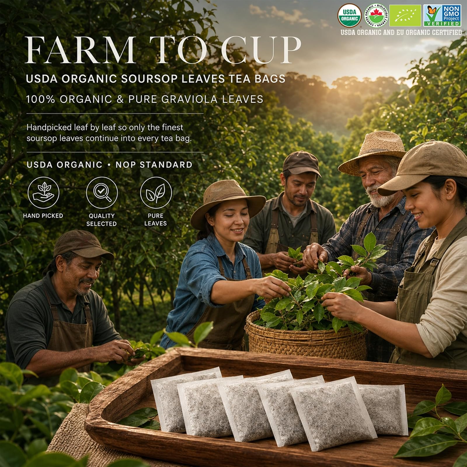 HERB DTQ herbal tea selection
