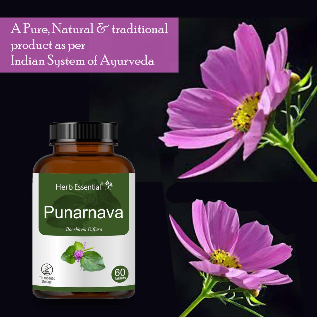 Herb Essential punarnava for energy