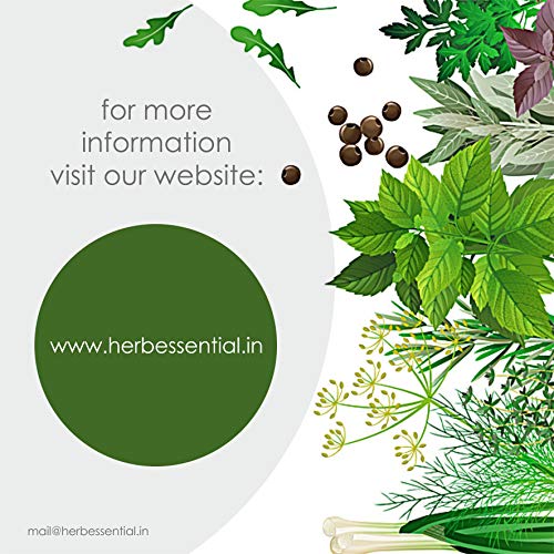 Herb Essential Shankhpushpi powder benefits
