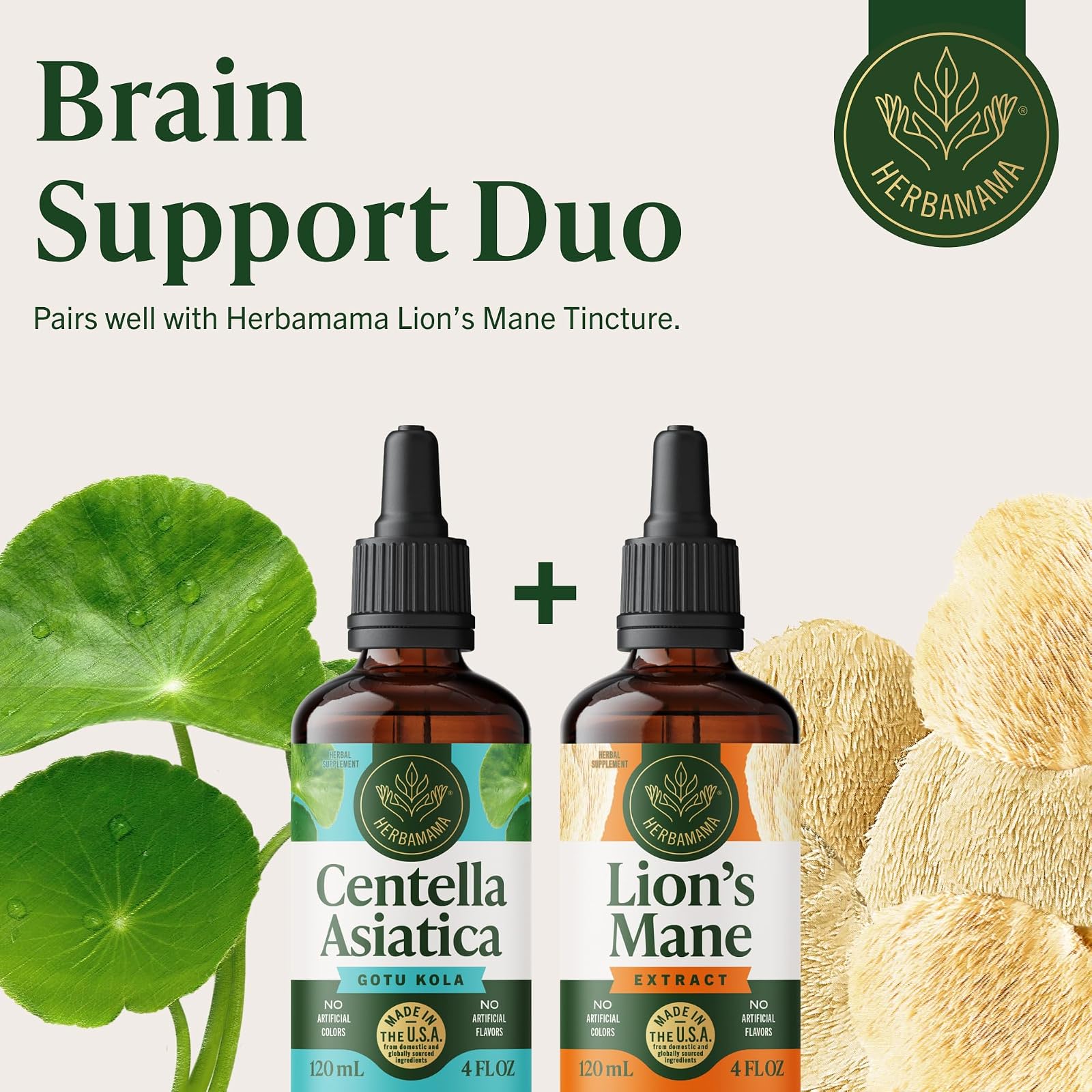 Herb for enhancing mental clarity