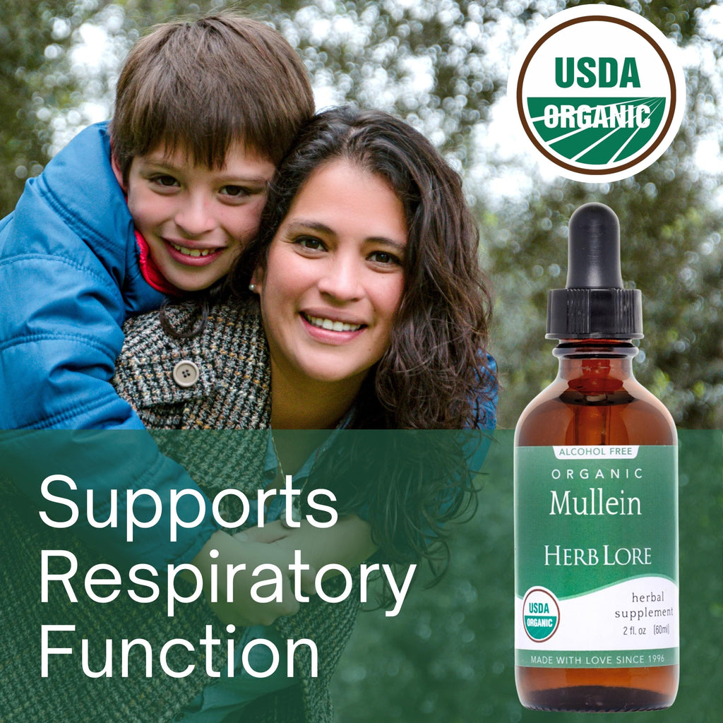 Herb Lore mullein for respiratory support
