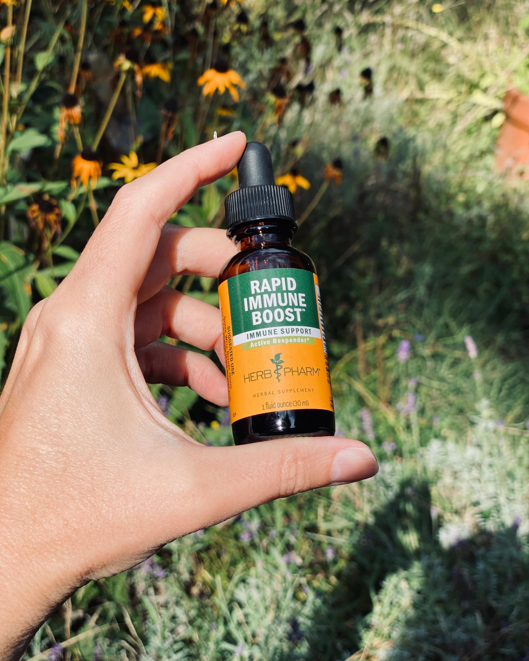 herb pharm echinacea for seasonal wellness