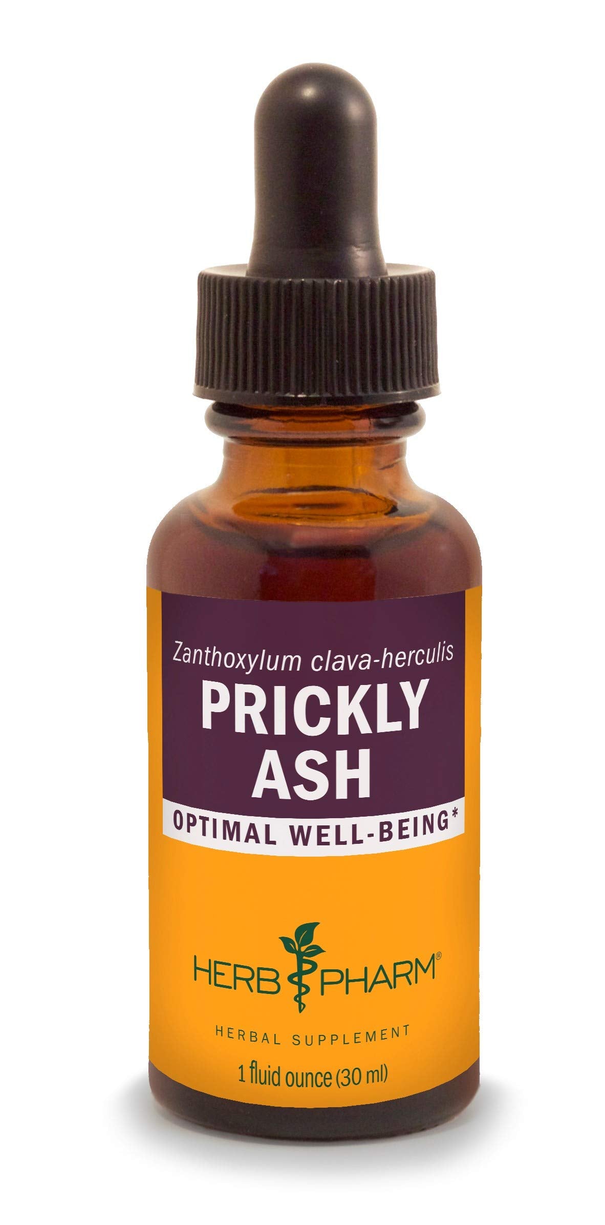 Herb Pharm Echinacea liquid extract
