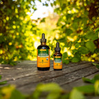 Herb Pharm echinacea liquid supplement
