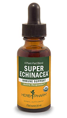 Herb Pharm echinacea liquid supplement