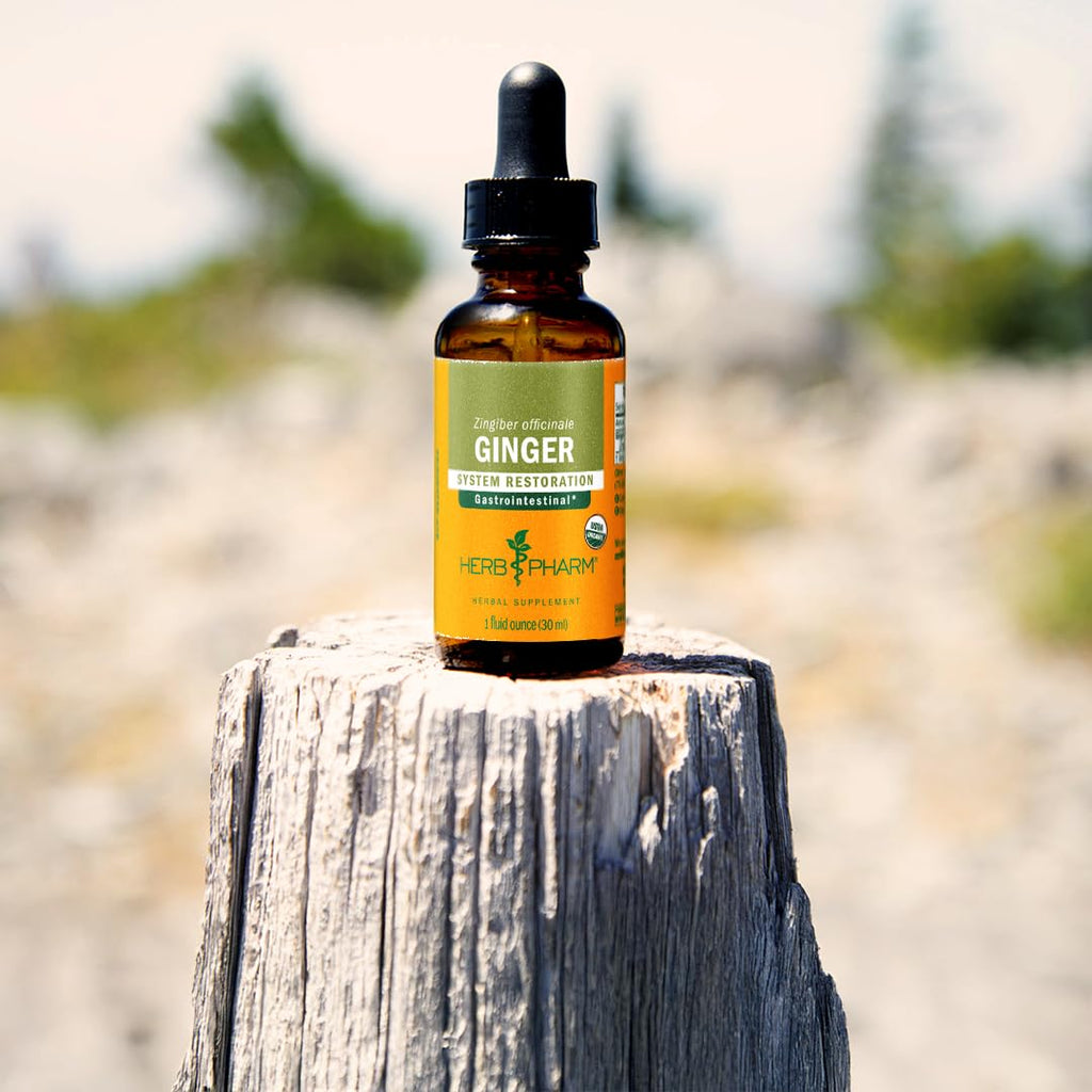 Herb Pharm ginger for everyday use