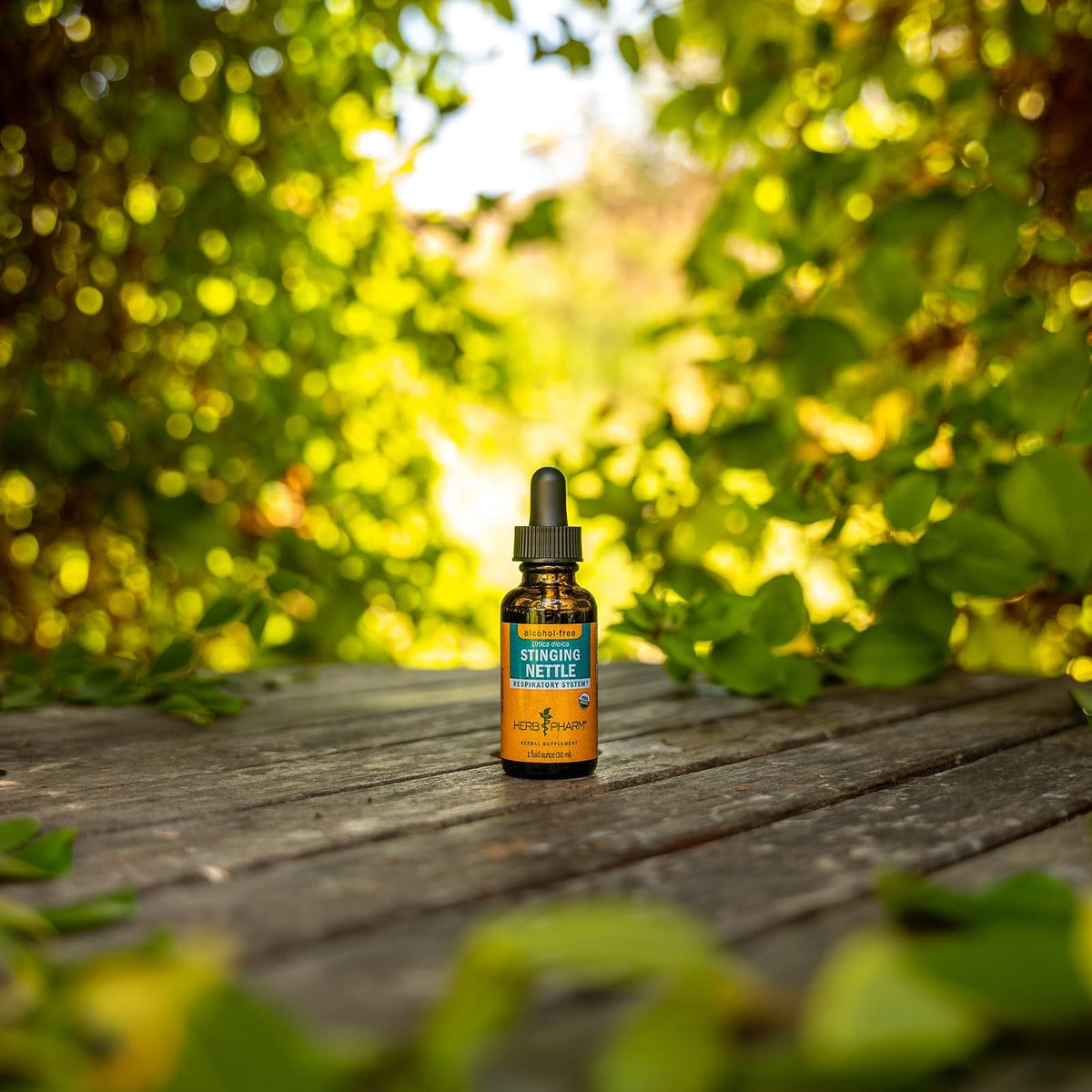 Herb Pharm nettle for seasonal support