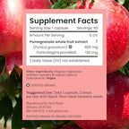 Herb Pharm pomegranate antioxidant support