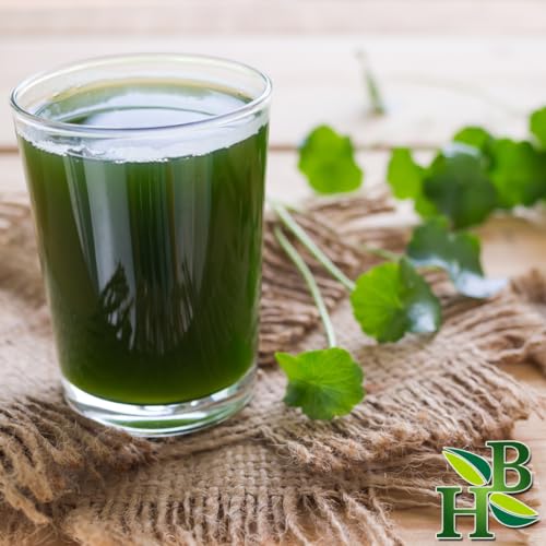 Herb To Body Gotu Kola 4oz
